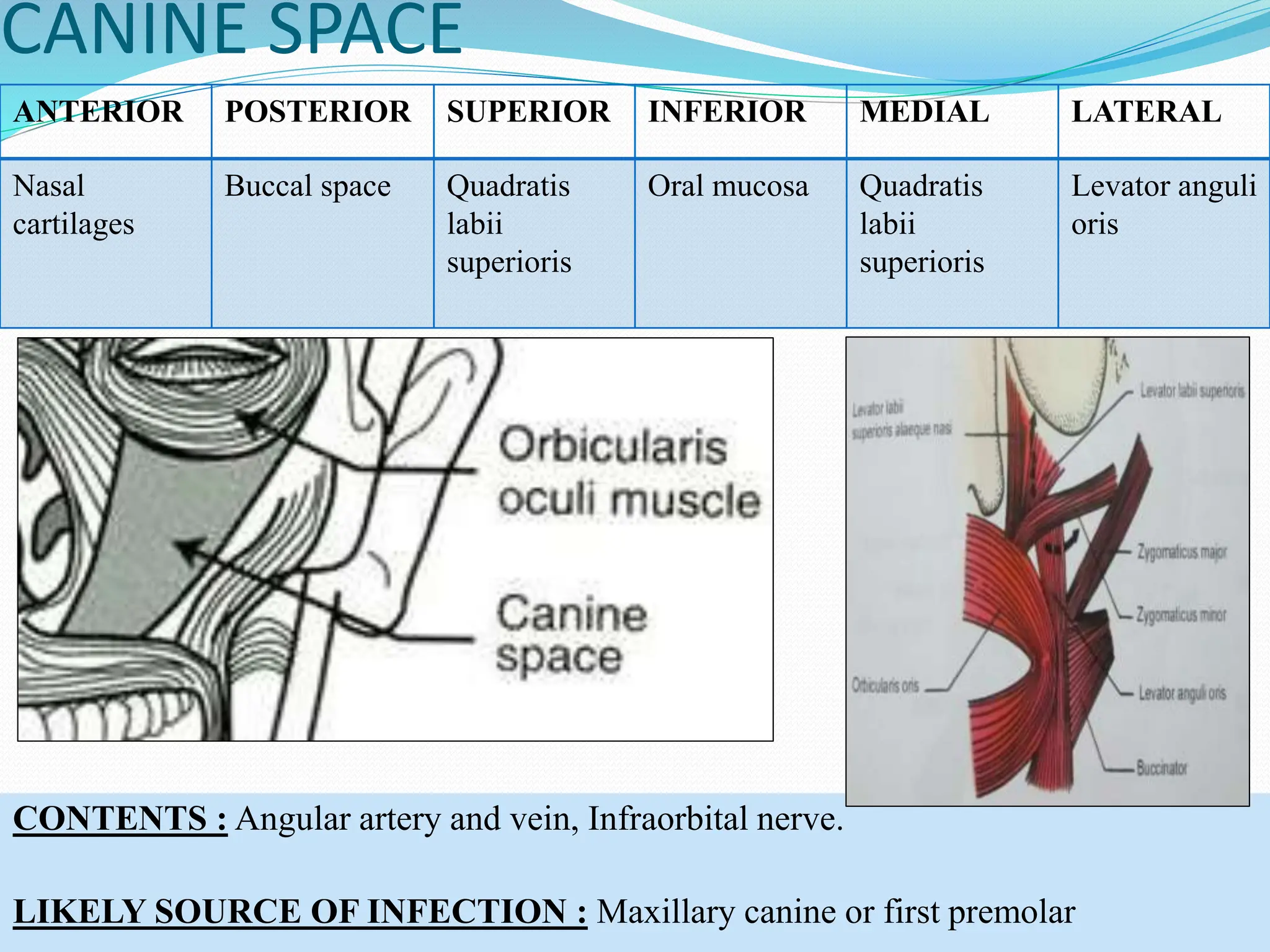 SPACE INFECTIONS-TYPES, DIAGNSOSIS AND MANAGEMENT | PPTX