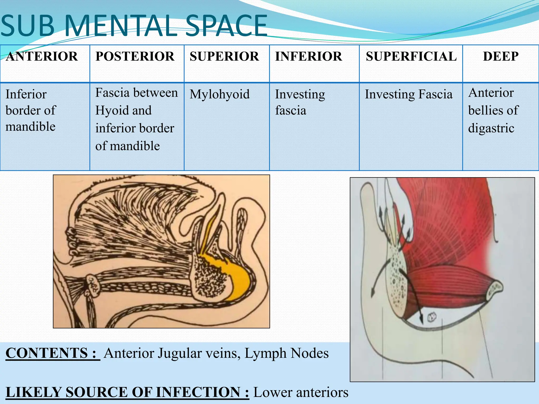 SPACE INFECTIONS-TYPES, DIAGNSOSIS AND MANAGEMENT | PPTX