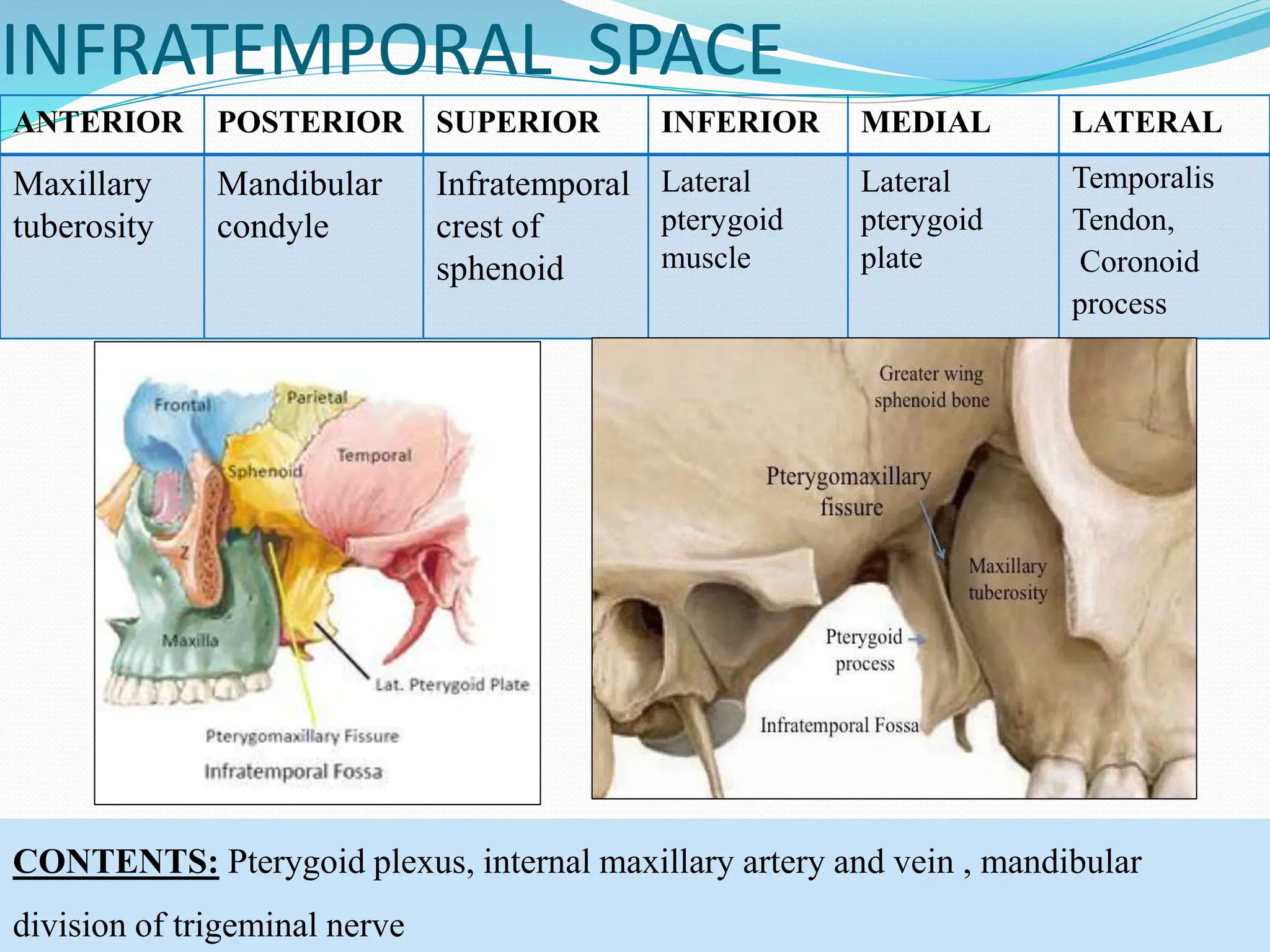 SPACE INFECTIONS-TYPES, DIAGNSOSIS AND MANAGEMENT | PPTX