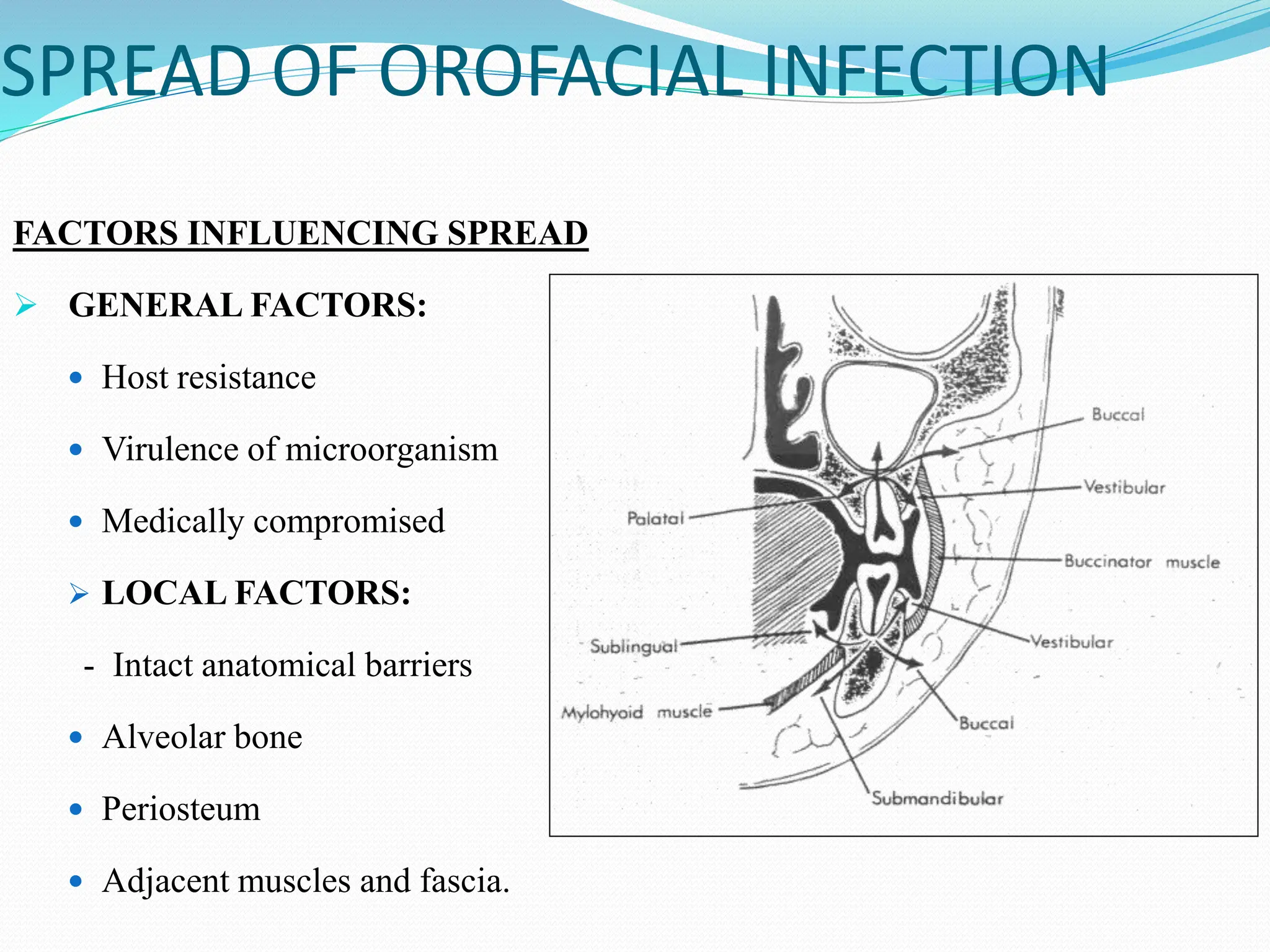 SPACE INFECTIONS-TYPES, DIAGNSOSIS AND MANAGEMENT | PPTX