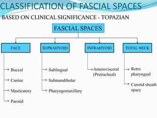 SPACE INFECTIONS-TYPES, DIAGNSOSIS AND MANAGEMENT | PPTX