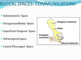 SPACE INFECTIONS-TYPES, DIAGNSOSIS AND MANAGEMENT | PPTX