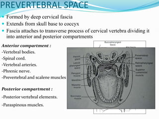 SPACE INFECTIONS-TYPES, DIAGNSOSIS AND MANAGEMENT | PPTX