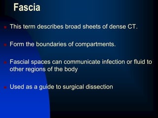 Fascial Space infection | PPTX