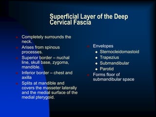 Fascial Space infection | PPTX