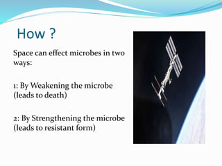 Space microbiology | PPTX