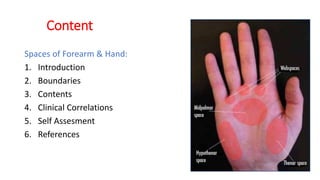 Spaces of Hand and Forearm | PPTX
