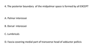 Spaces of Hand and Forearm | PPTX