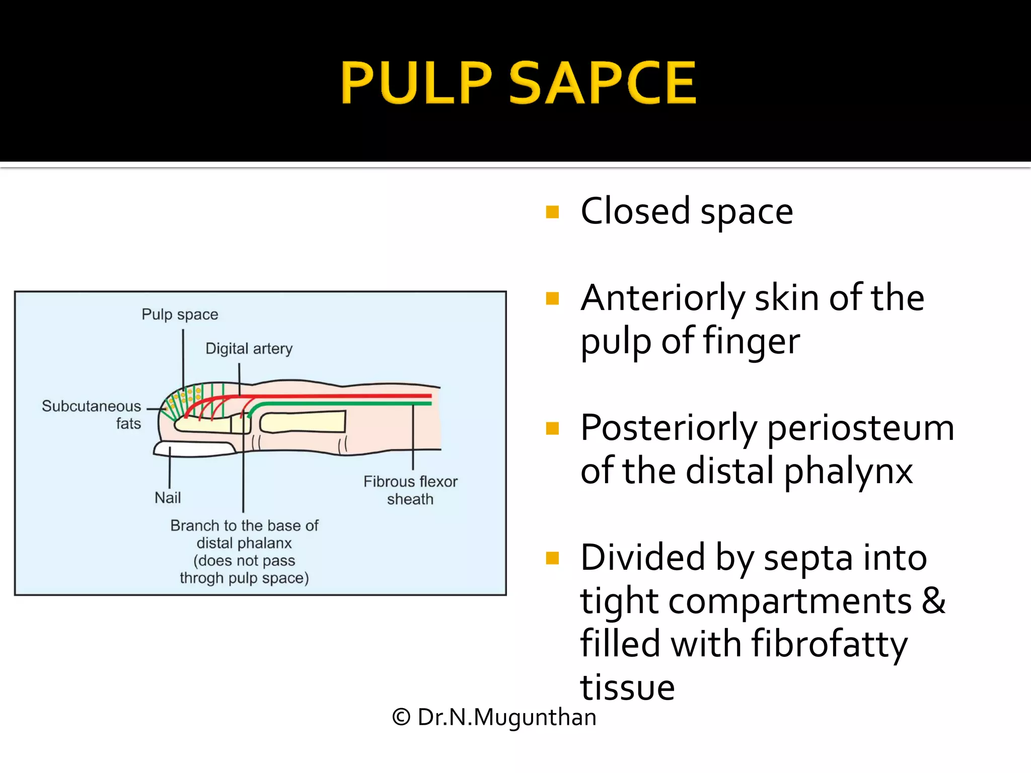 Spaces of hand-Dr.N.Mugunthan | PDF