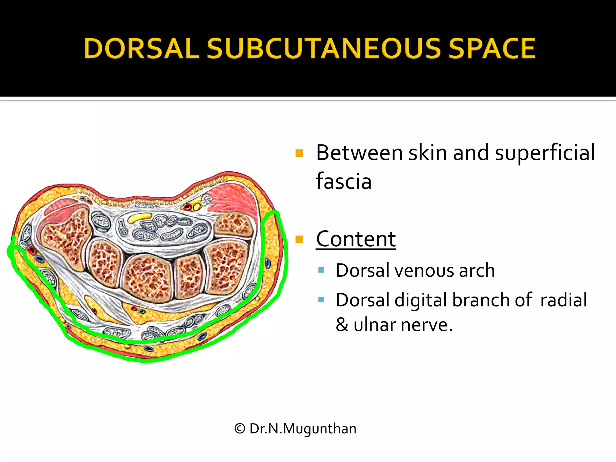 Spaces of hand-Dr.N.Mugunthan | PDF