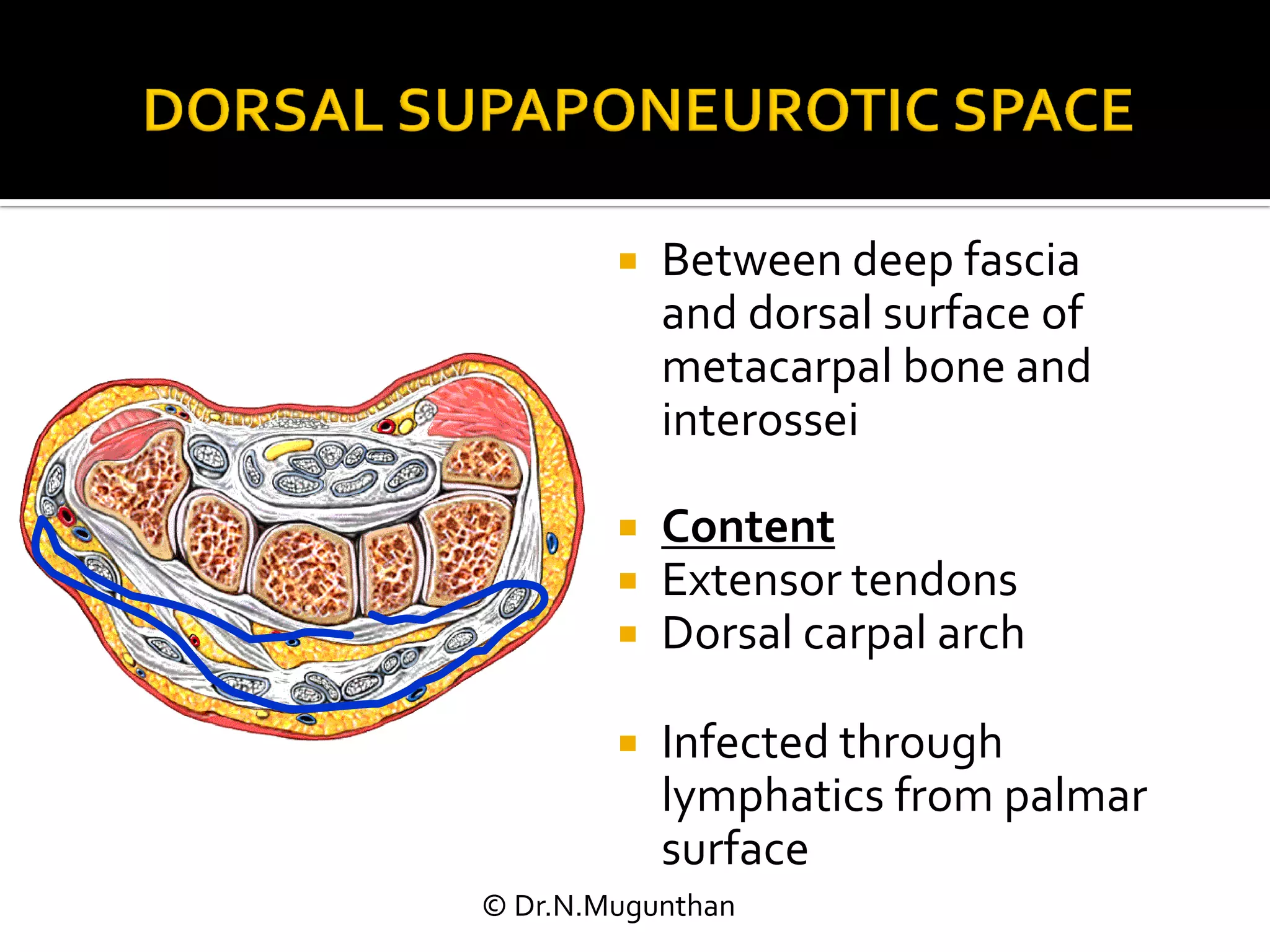Spaces of hand-Dr.N.Mugunthan | PDF