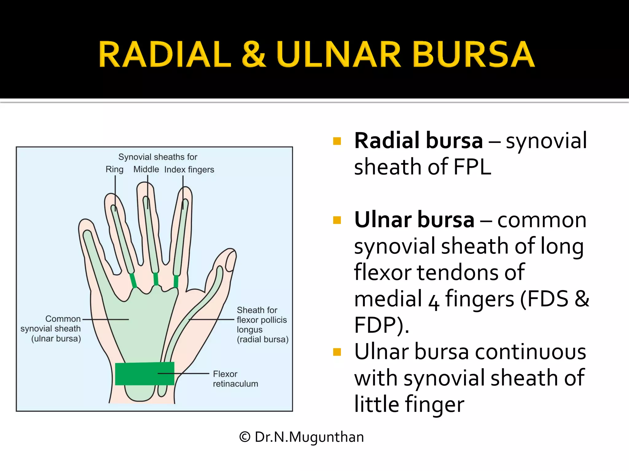 Spaces of hand-Dr.N.Mugunthan | PDF