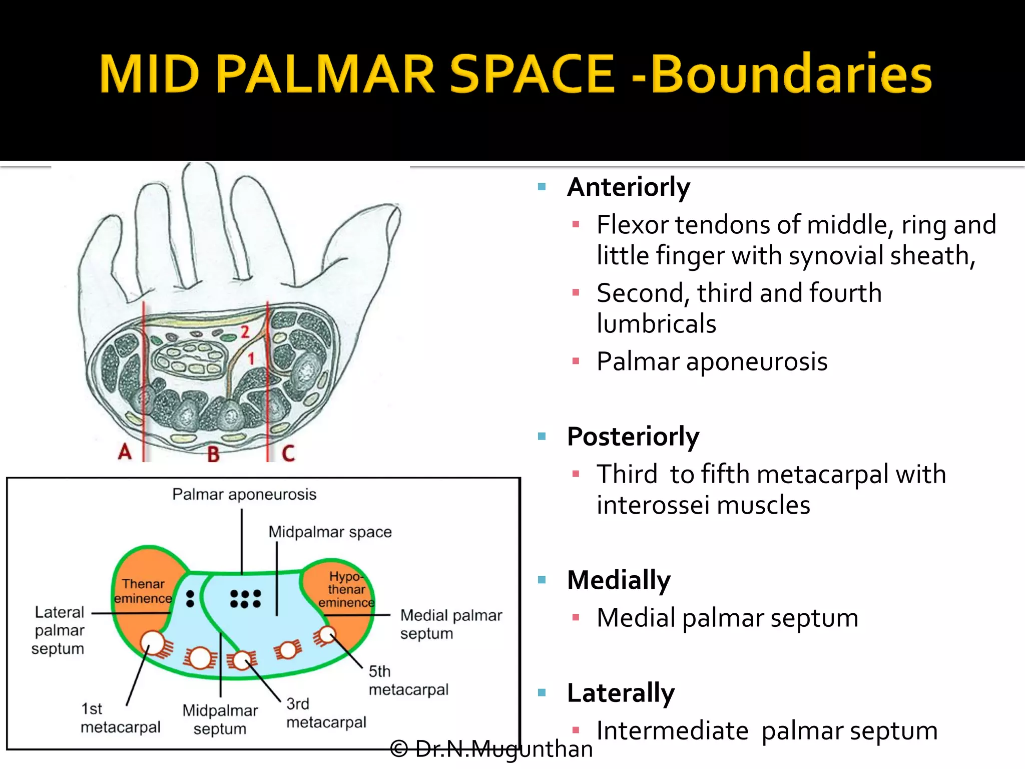 Spaces of hand-Dr.N.Mugunthan | PDF
