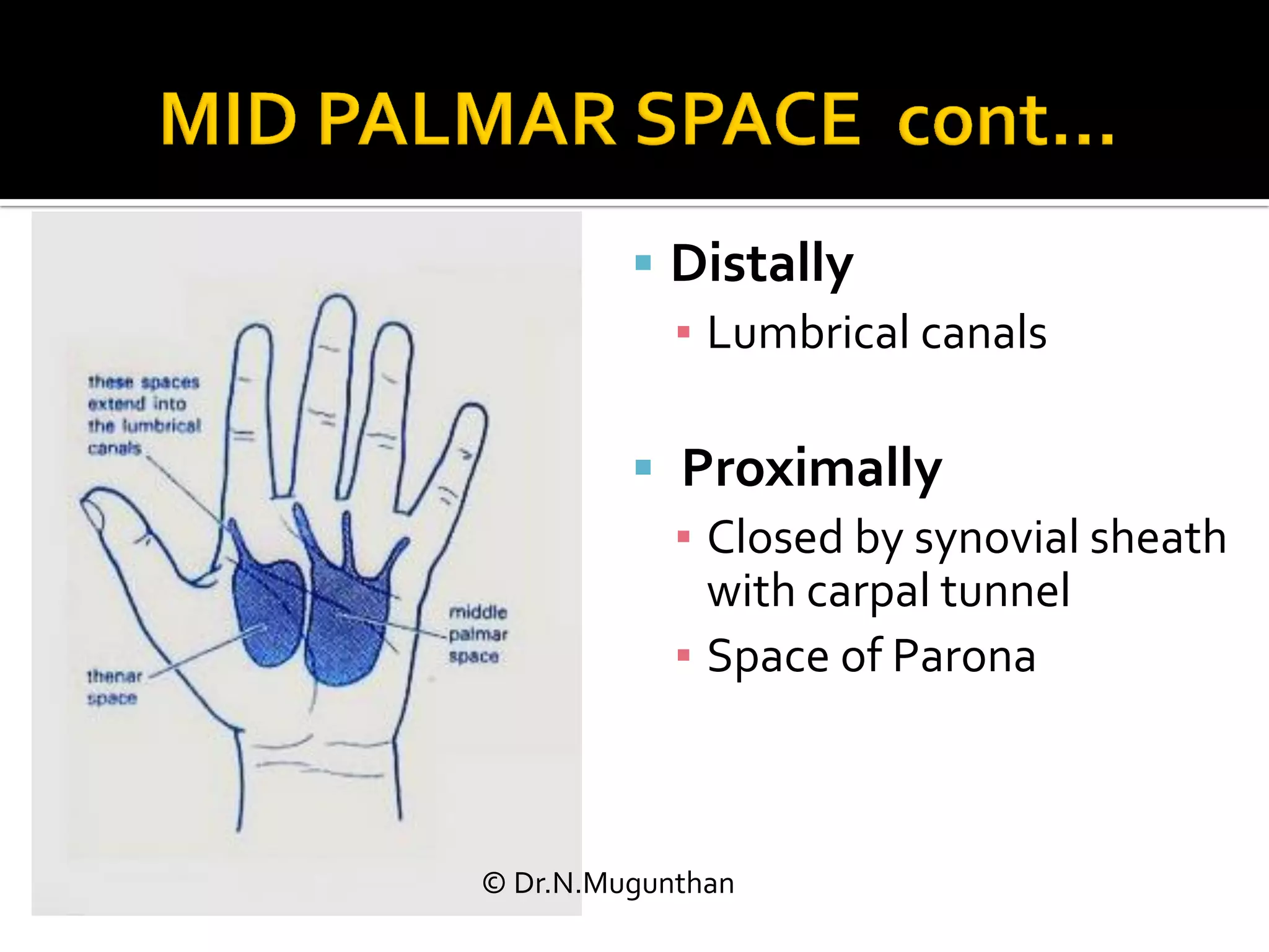 Spaces of hand-Dr.N.Mugunthan | PDF