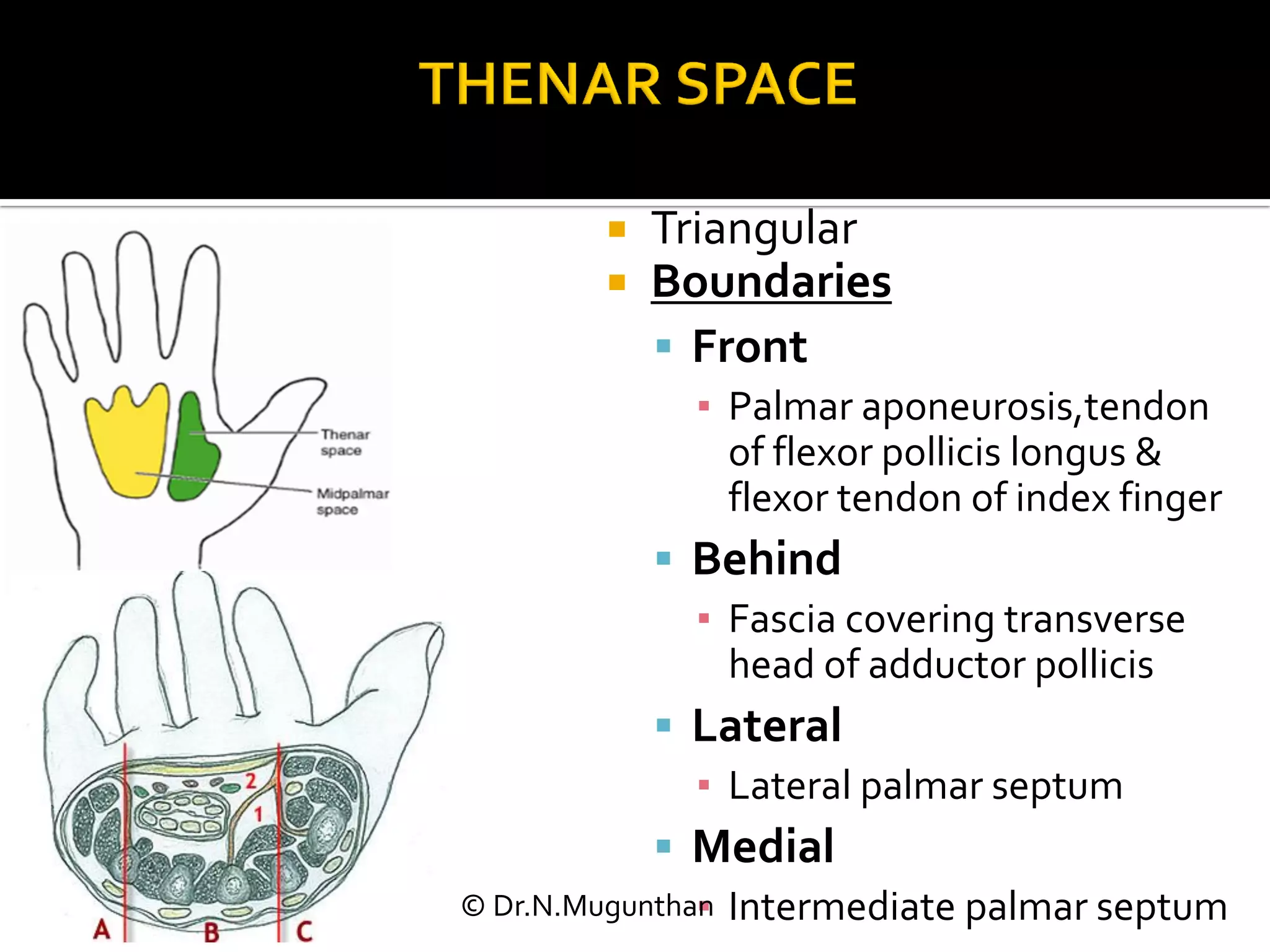Spaces of hand-Dr.N.Mugunthan | PDF