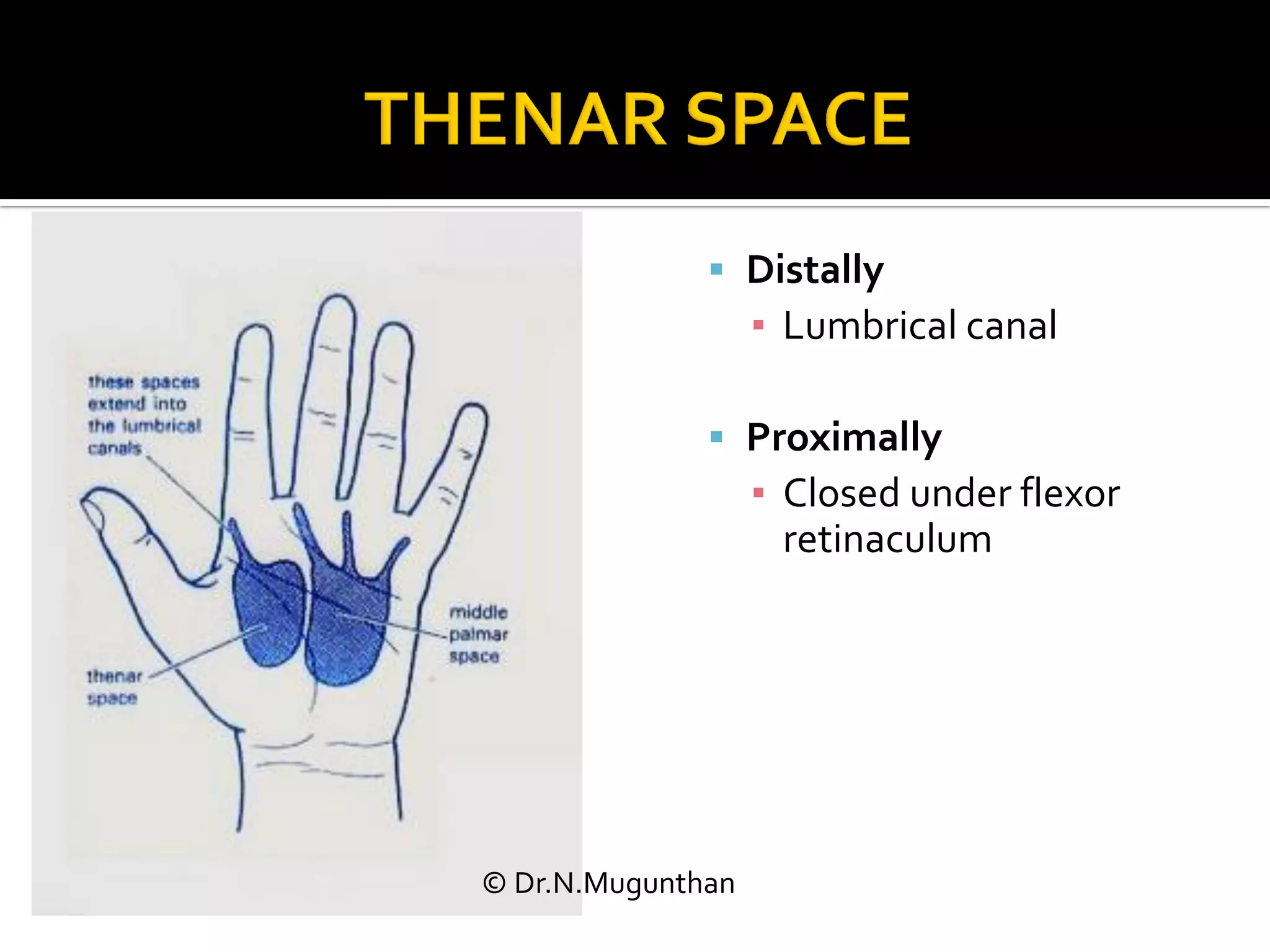 Spaces of hand-Dr.N.Mugunthan | PDF