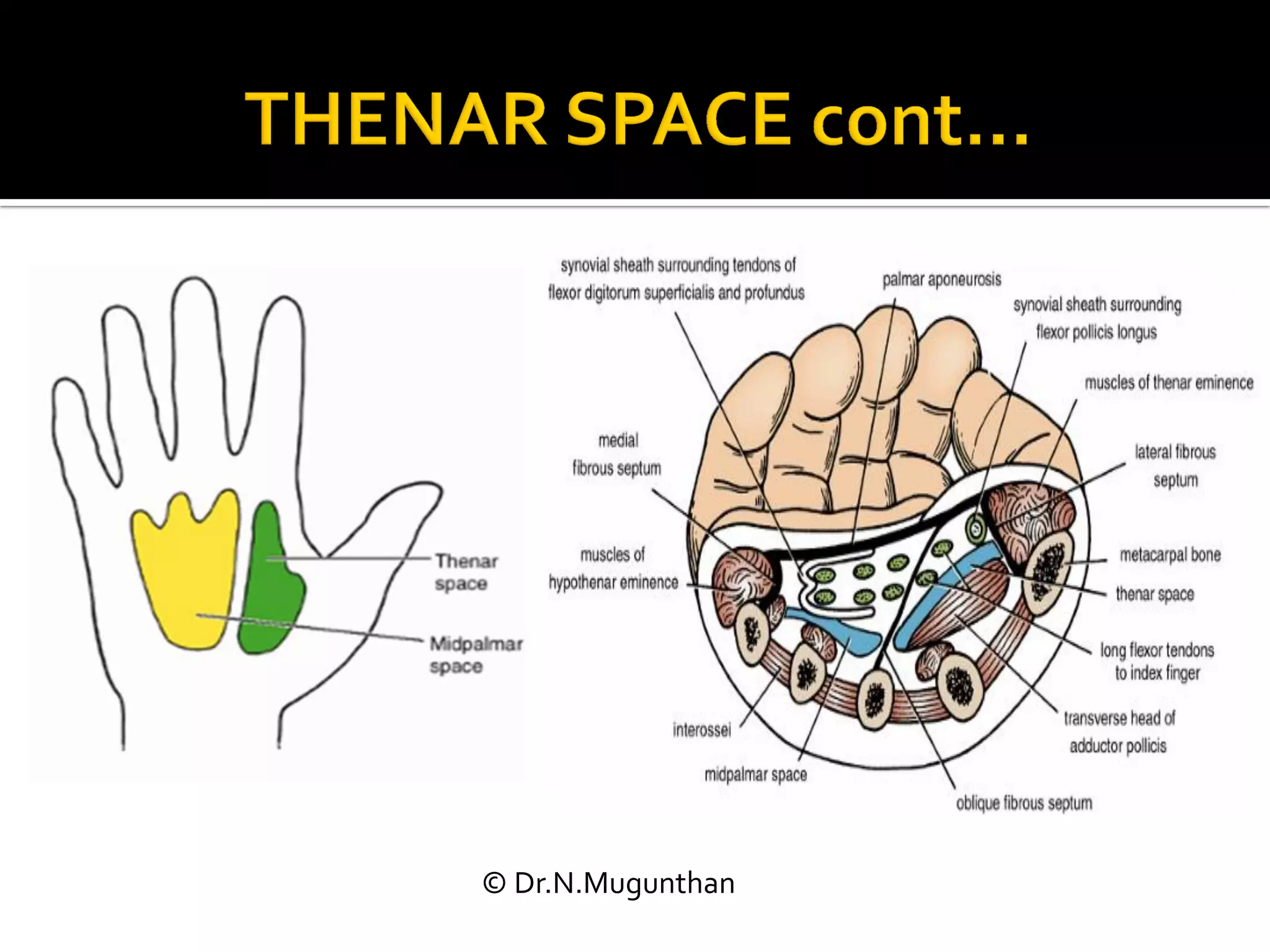 Spaces of hand-Dr.N.Mugunthan | PDF