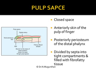 Spaces of hand-Dr.N.Mugunthan | PDF