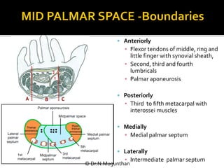 Spaces of hand-Dr.N.Mugunthan | PDF