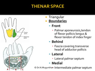 Spaces of hand-Dr.N.Mugunthan | PDF