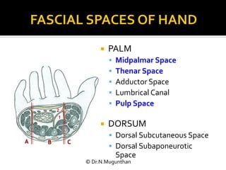 Spaces of hand-Dr.N.Mugunthan | PPT