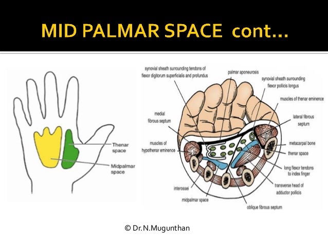 Spaces of hand-Dr.N.Mugunthan