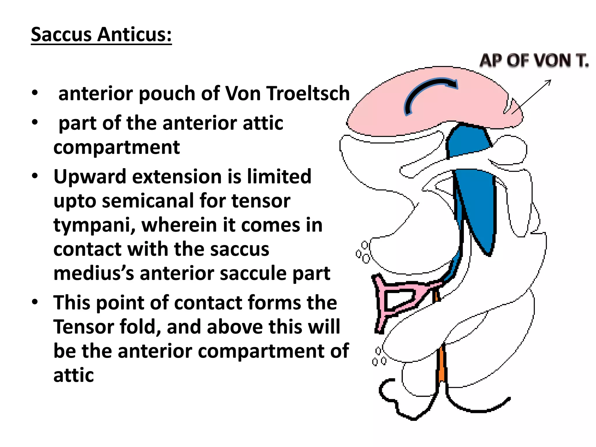 Spaces of middle ear and their surgical importance | PPTX