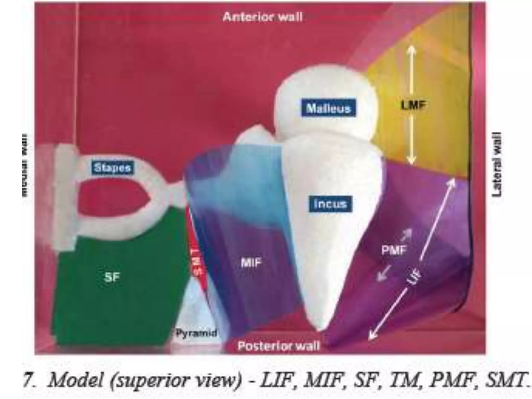 Spaces of middle ear and their surgical importance | PPTX