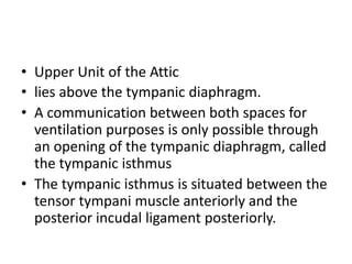 Spaces of middle ear and their surgical importance | PPTX