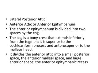 Spaces of middle ear and their surgical importance | PPTX