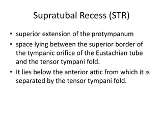 Spaces of middle ear and their surgical importance | PPT