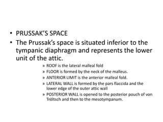 Prussak Space Ct Scan