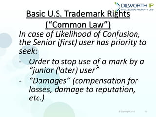 Branding and Trademarks: The U.S. Legal Framework (short) | PDF