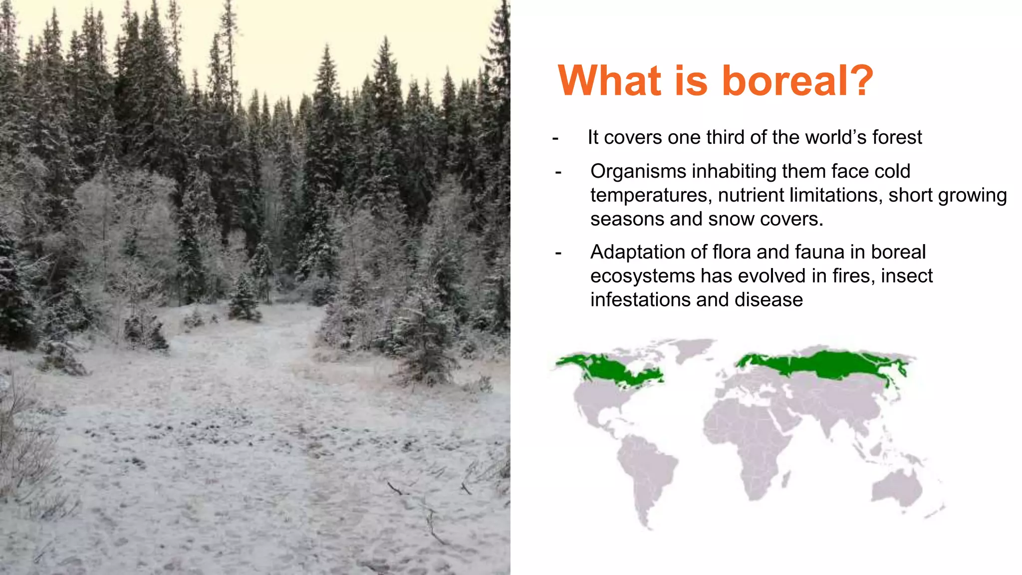 Spain - Boreal deforestation - Finland 2019 | PPT