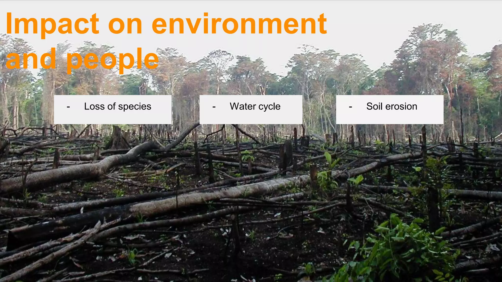 Spain - Boreal deforestation - Finland 2019 | PPT