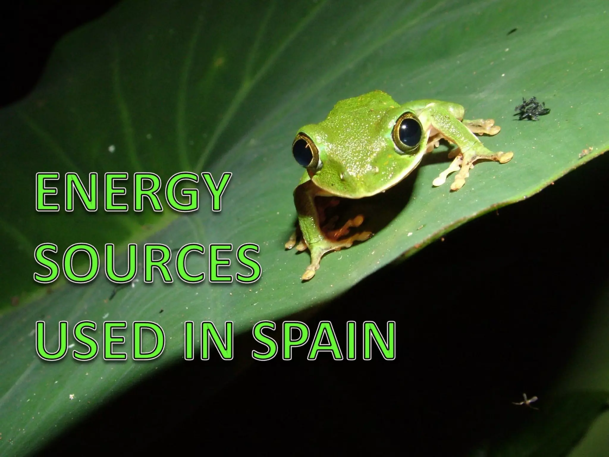 Spain natural resources | PPT