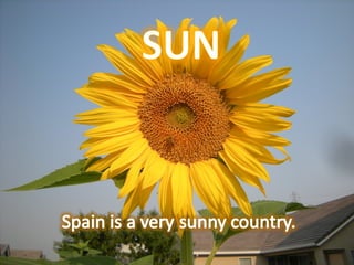 Spain natural resources | PPT