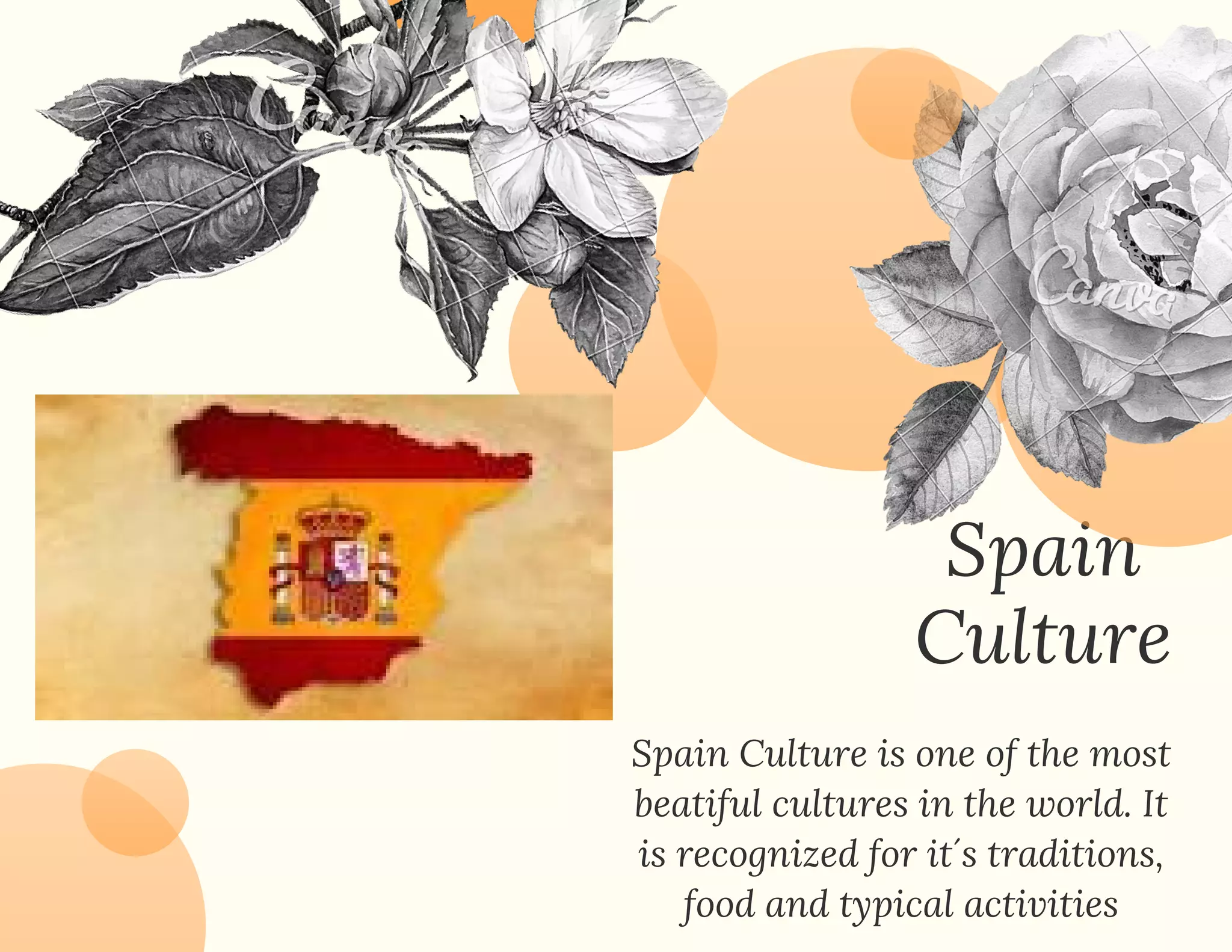 Infographics Spain 6 b | PDF