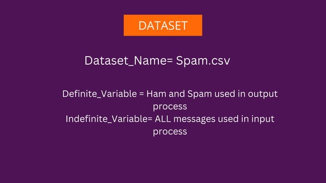 spam_msg_detection.pdf