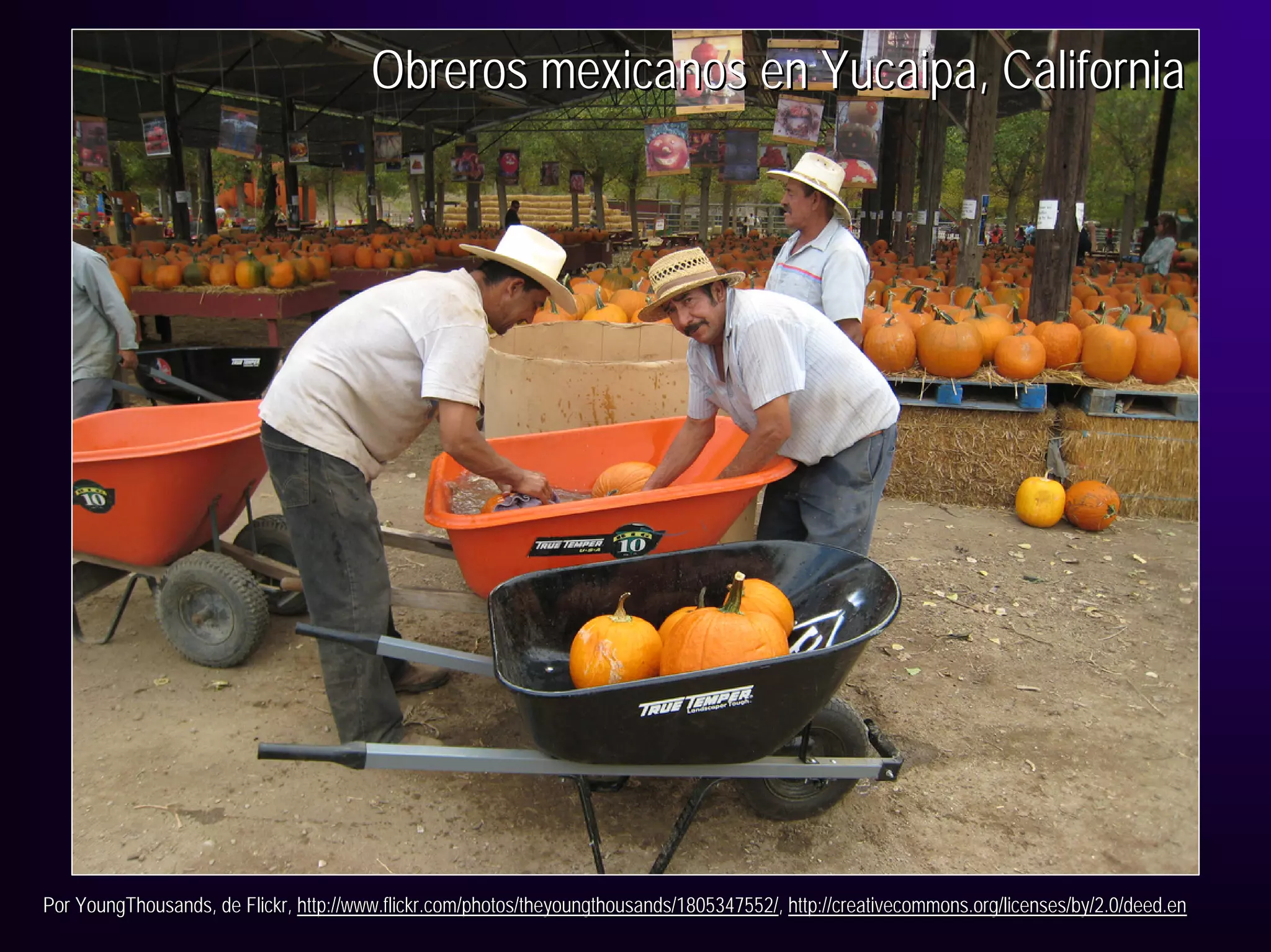 Span 3113 Fotos De Actividades Para El Blog | PDF | Social Networking ...