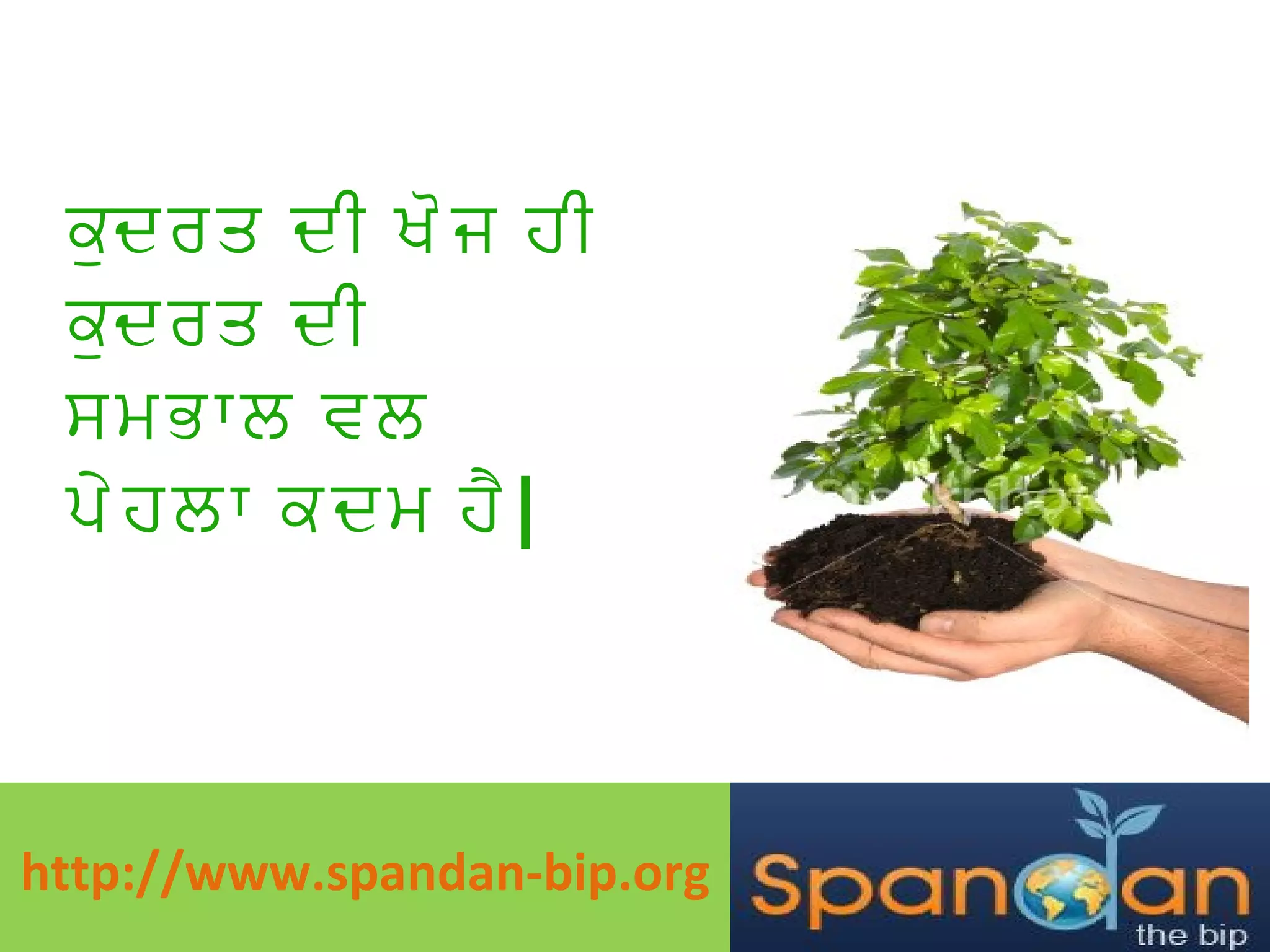 Spandan bip-punjabi-psp-final | PPT