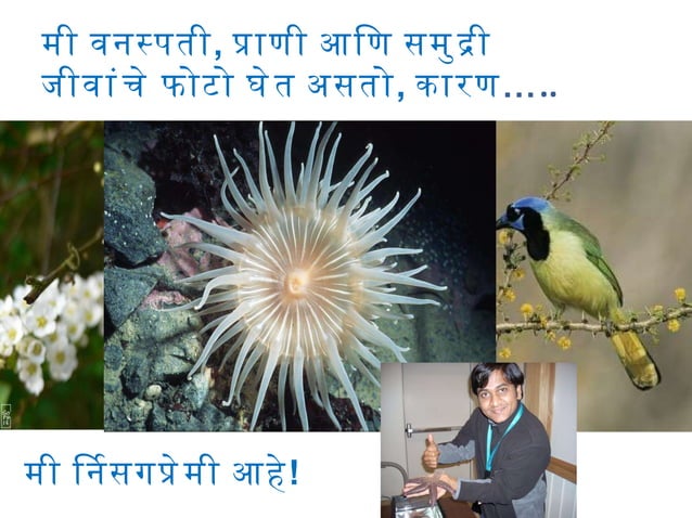 Spandan Marathi Vitthal Final | PPT