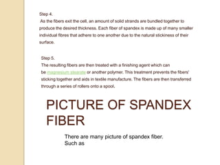 Spandex fiber | PPTX
