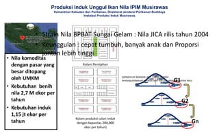 Produksi_Induk_Unggul_Nila[1].pptx