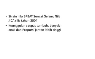 Produksi_Induk_Unggul_Nila[1].pptx