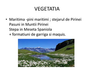 Spania darius decean si andrei babos | PPTX