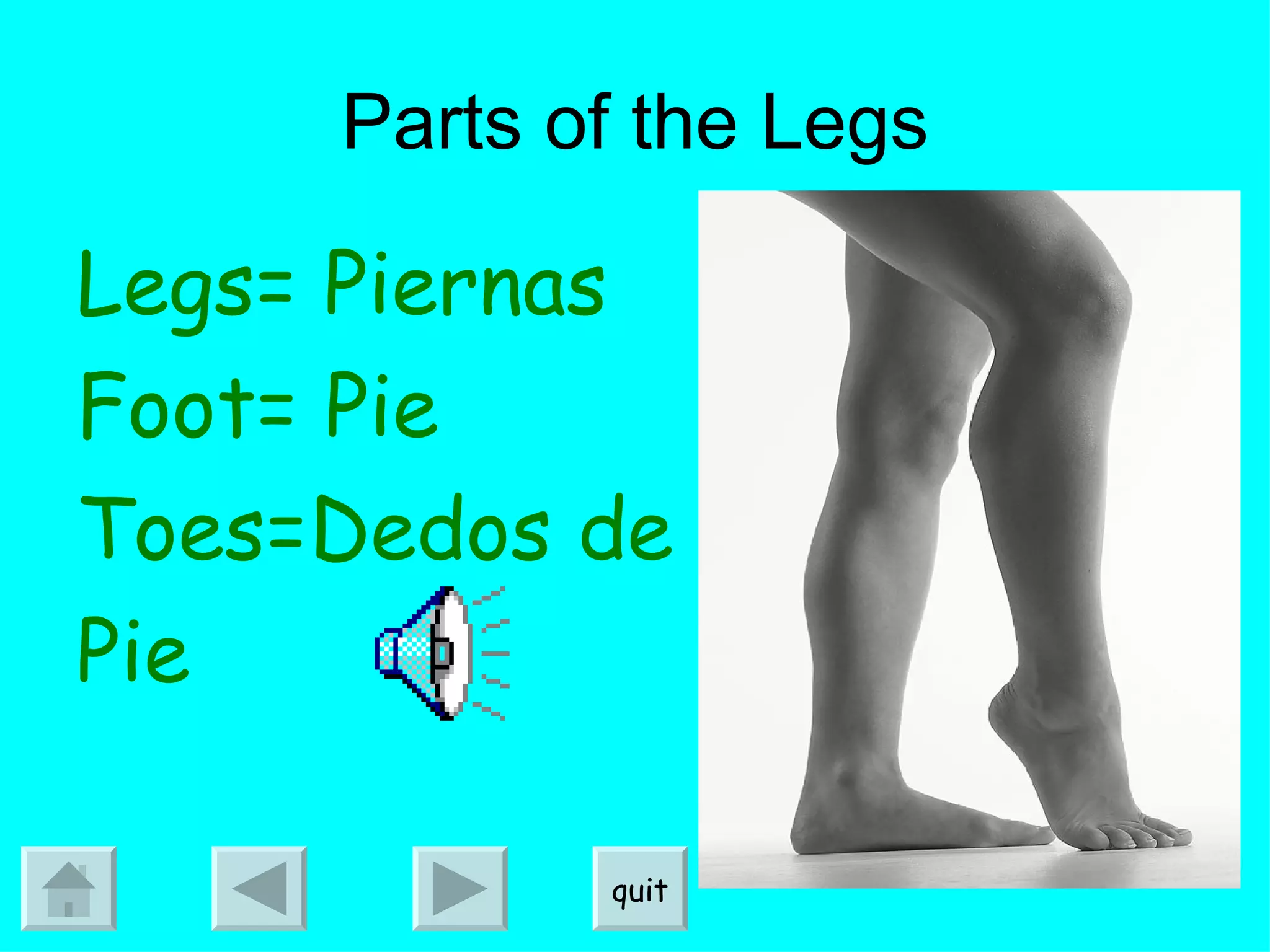 Spanish Body Parts | PPT