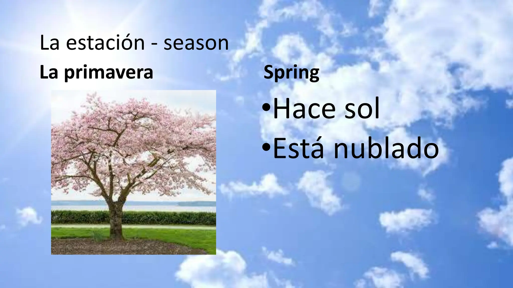 SPANISH-weather-and-the-seasons.226166728.pptx | Weather | Science