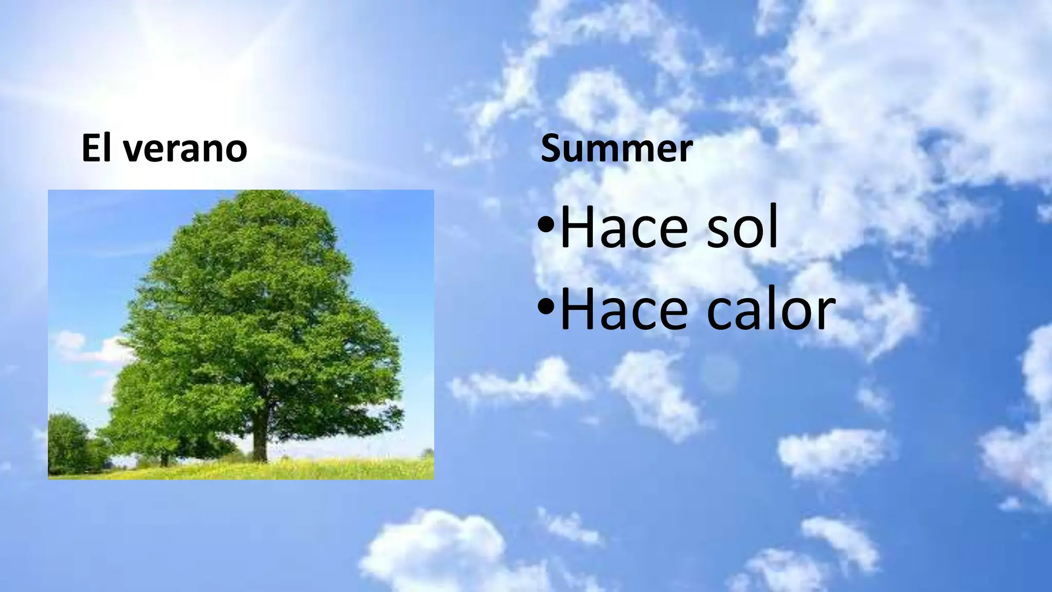 SPANISH-weather-and-the-seasons.226166728.pptx