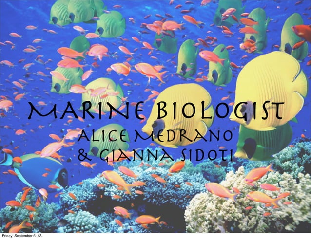 Spanish 1 marine biologist | PPT